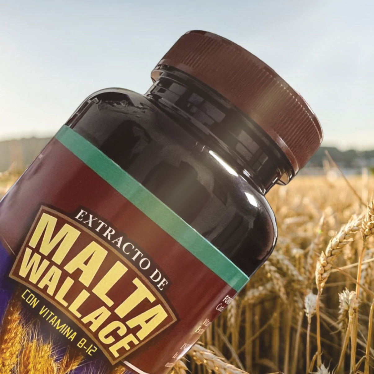 Malta Wallace Malt Extract with Vitamin B12 - Vegan Reconstituting Emu ...